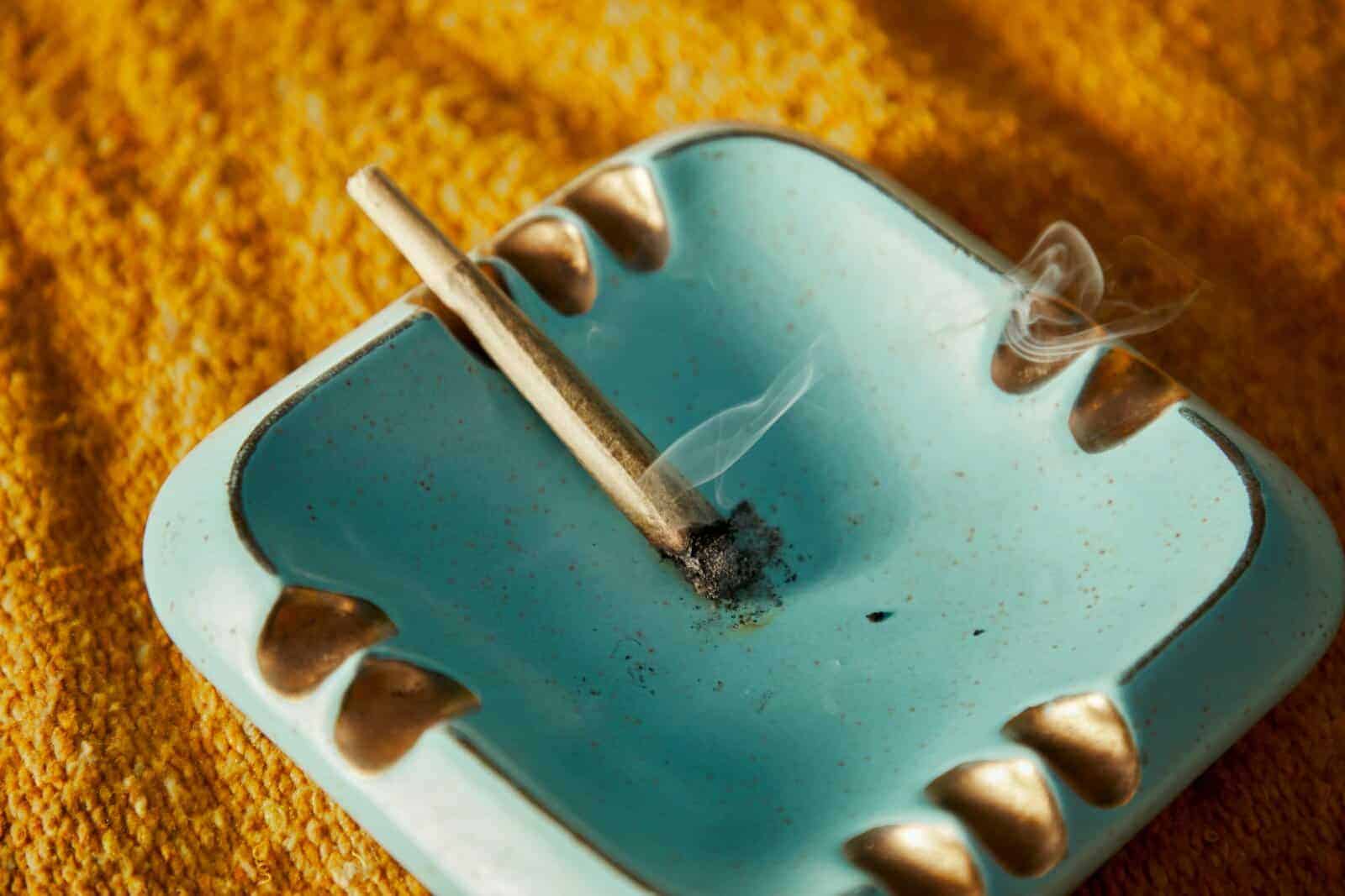What Are Infused Pre-Rolls? Your Guide to Potent Smokes